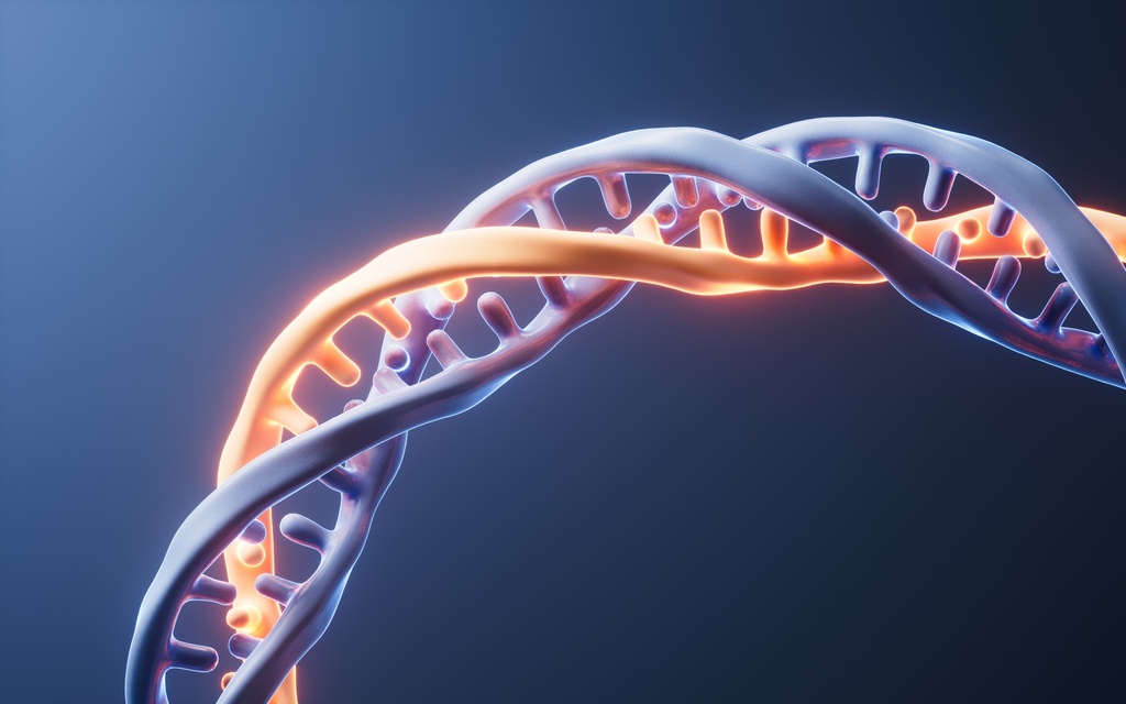 Secuenciación de Genes Múltiple Alteraciones en el Metabolismo del Folato y Homocisteína (Prueba ...